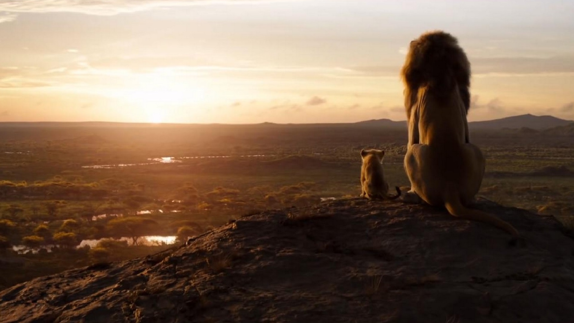 The Lion King and God’s Protecting Love – indycrowe